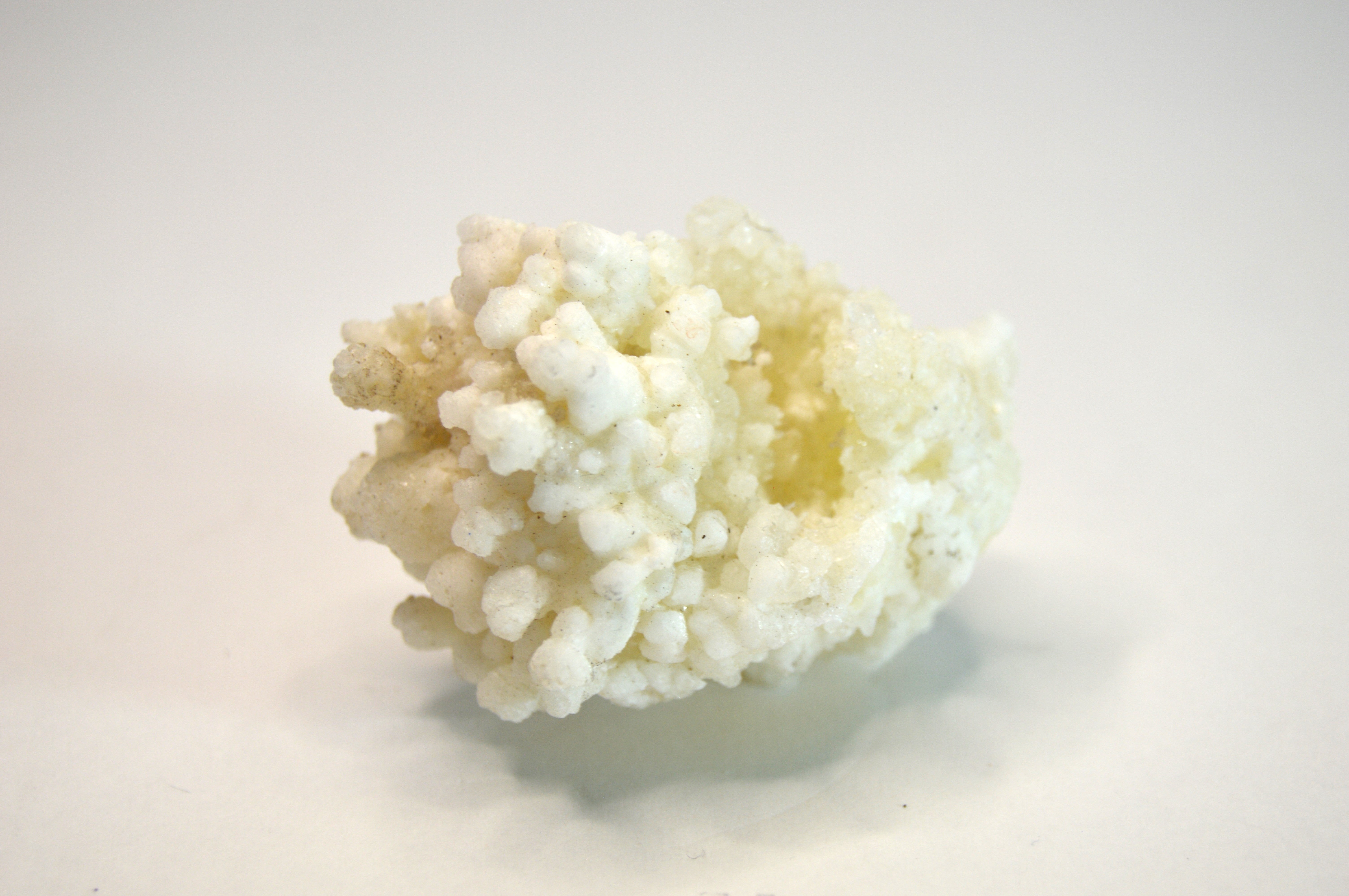 White Aragonite (Cave Calcite) Specimen 2 – Dream Wolf Studios