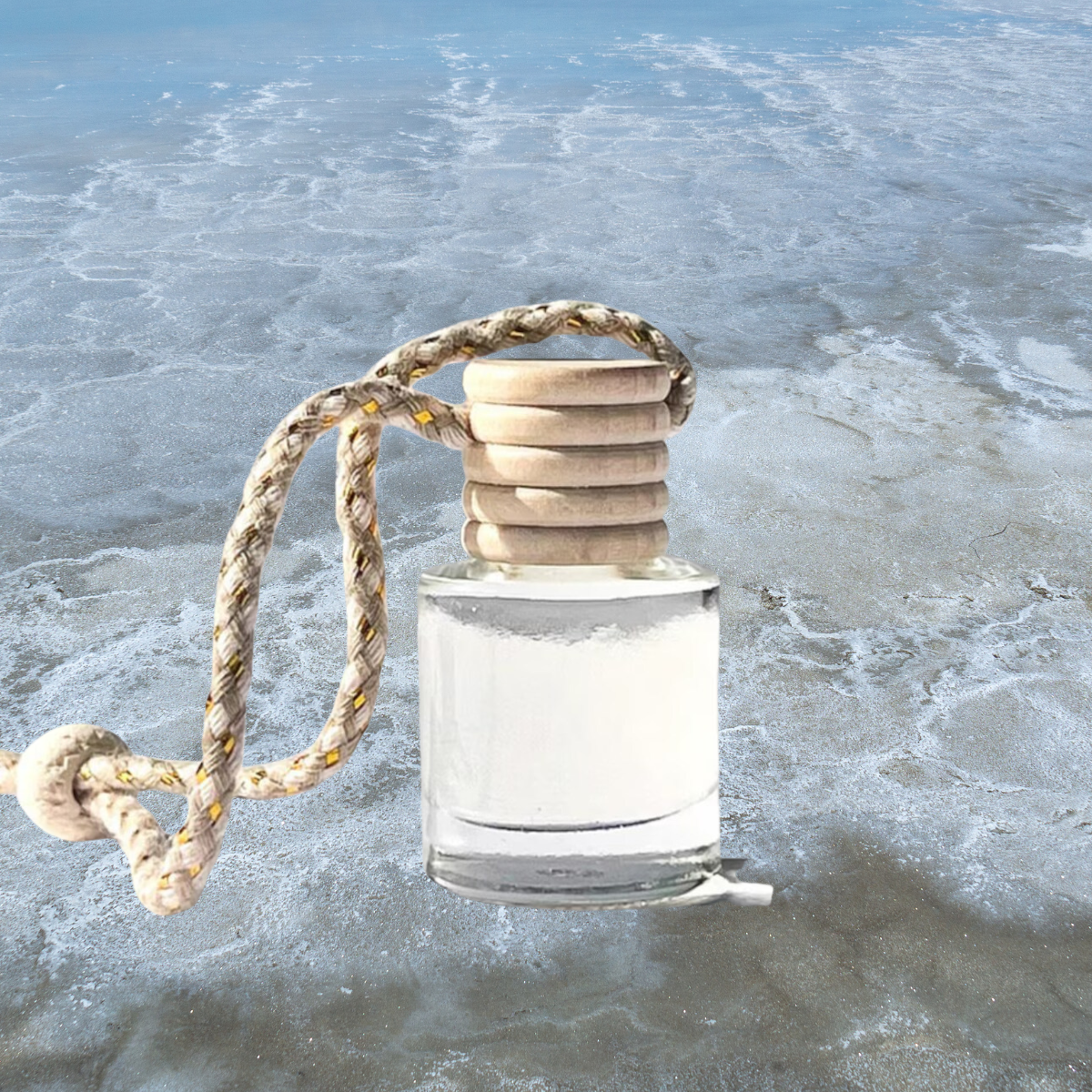 Salt & Sky Diffuser Oils - Spring 2026 – Dream Wolf Studios